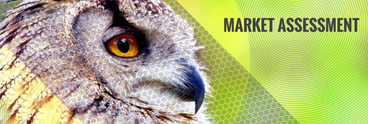 img_7927-e1497401258878.jpg?w=1200